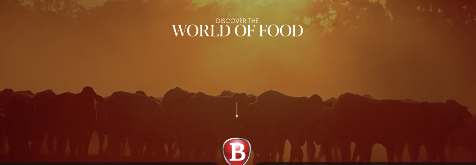 Πιστοποιήσεις - Bikas Gruppo